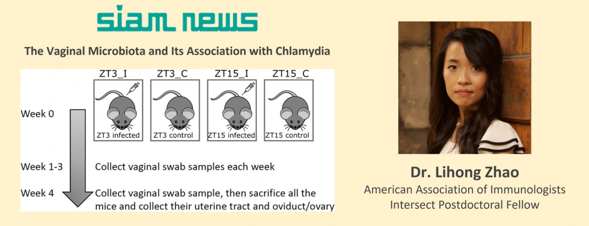 Dr. Zhao's Research Featured in SIAM News | Applied Mathematics